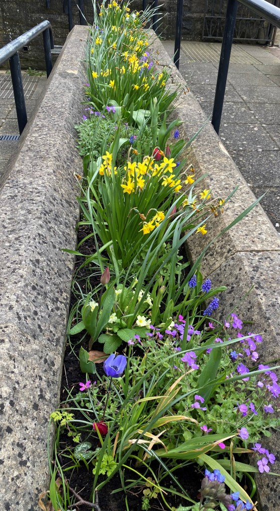 March Message from Deacon Laura – Conway Road Methodist